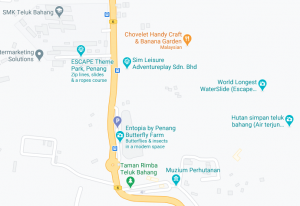 My Account - Entopia - Voices of Nature