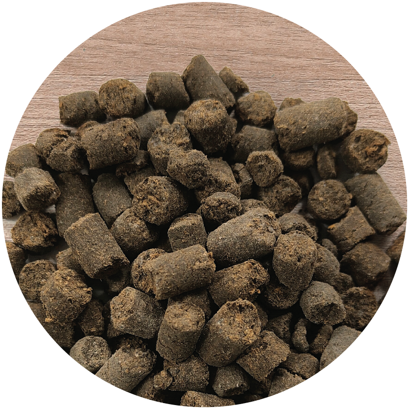 Entopia Feed - Entopia - Voices of Nature