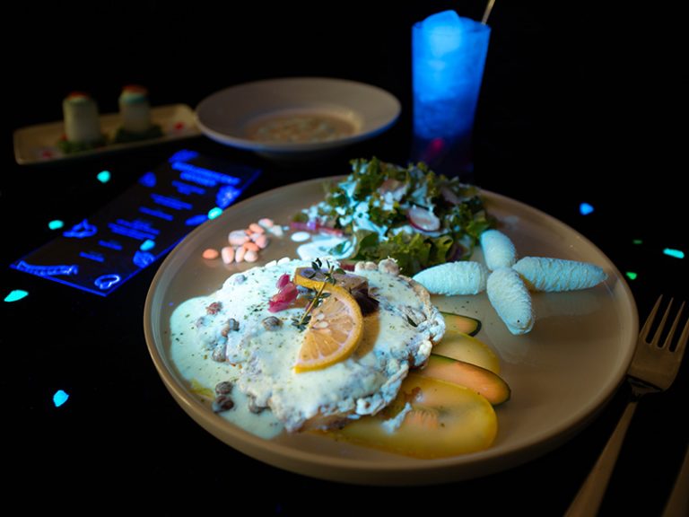 Entopia by Night - Entopia - Voices of Nature