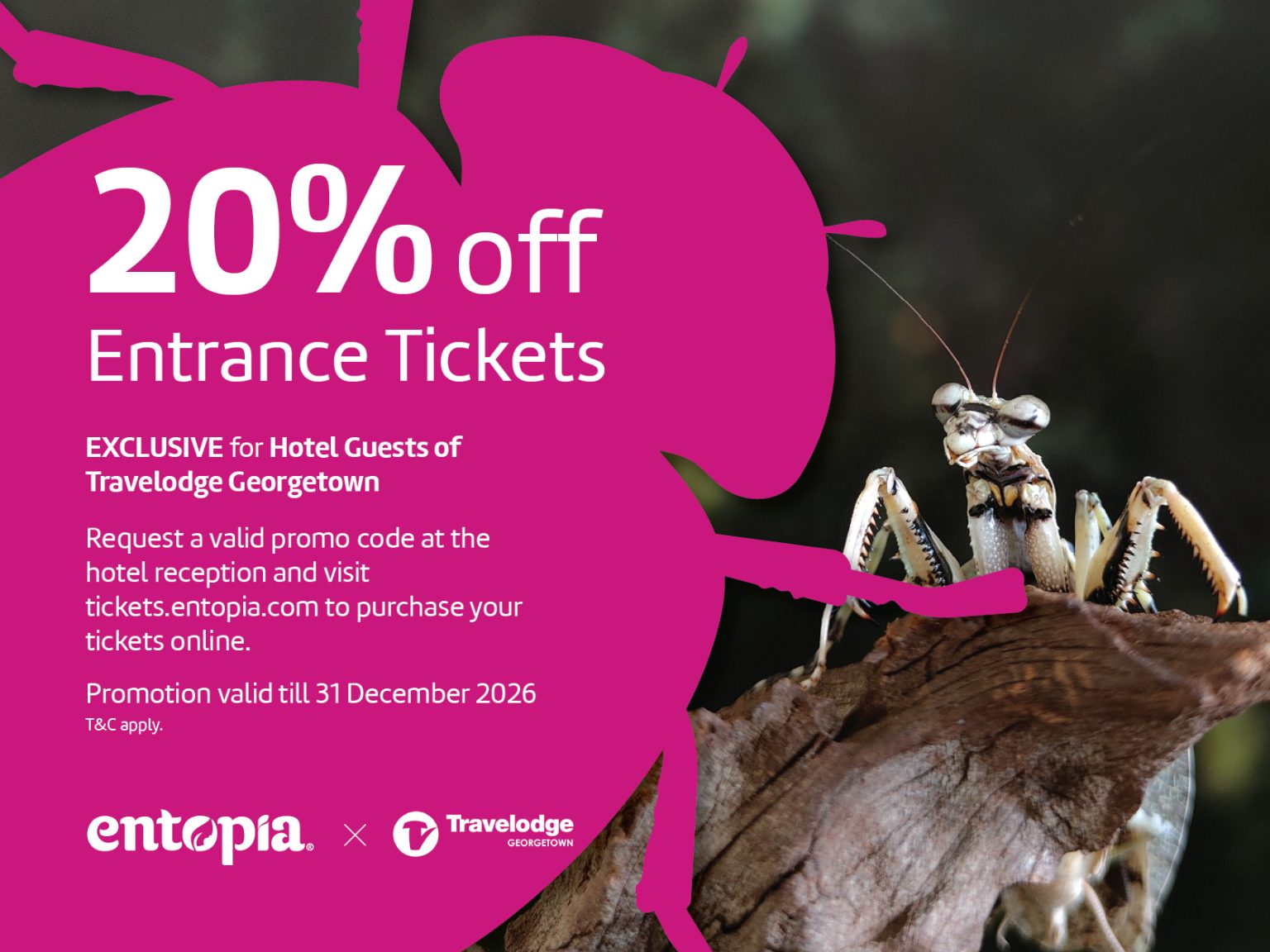 Travelodge Georgetown - Entopia - Voices of Nature